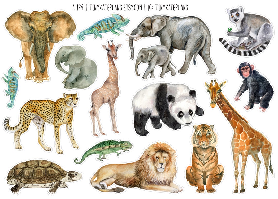 Watercolor Safari Animal Mix Planner Stickers, Safari Animal Planner ...