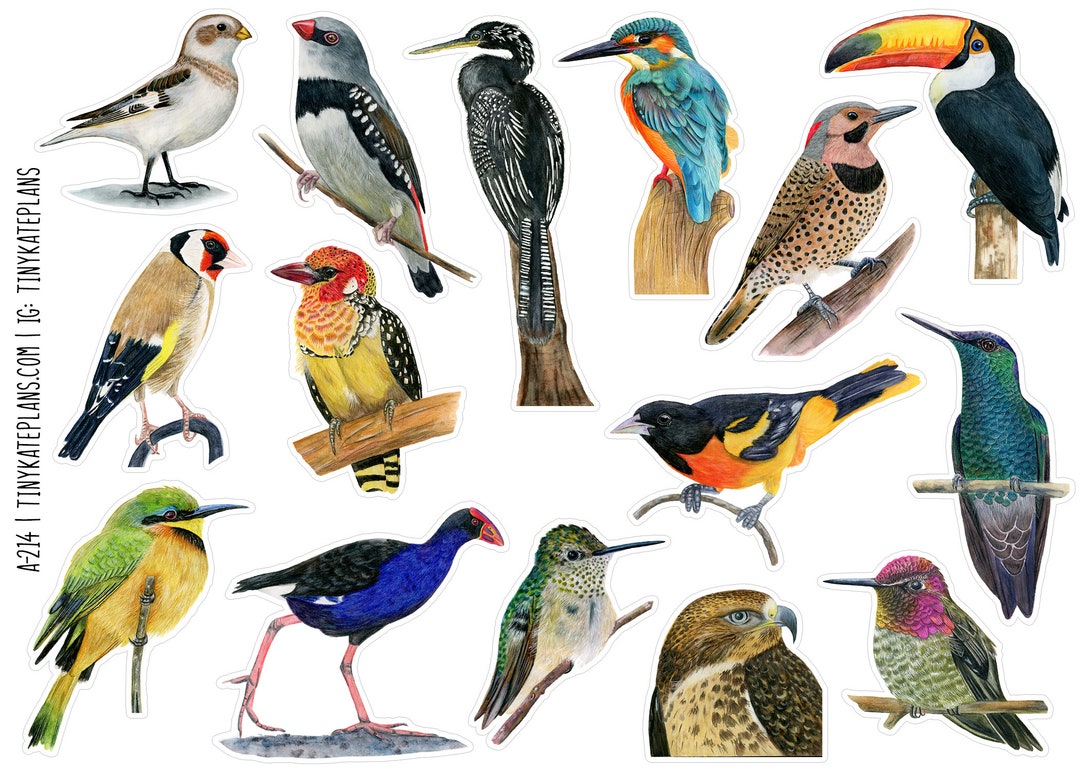 Realistic Birds Planner Stickers, Forest Animal Planner Stickers ...