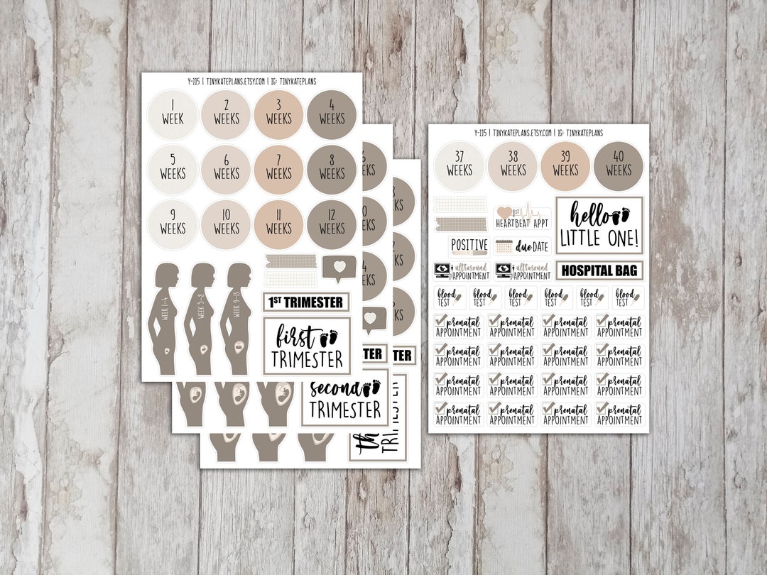 Neutral Colors Pregnancy Planner Sticker Kit, Pregnancy Progress ...