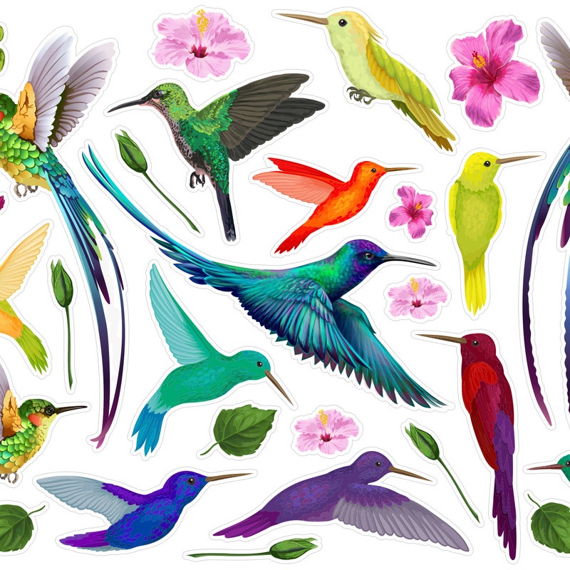 Hummingbird Sticker - Etsy
