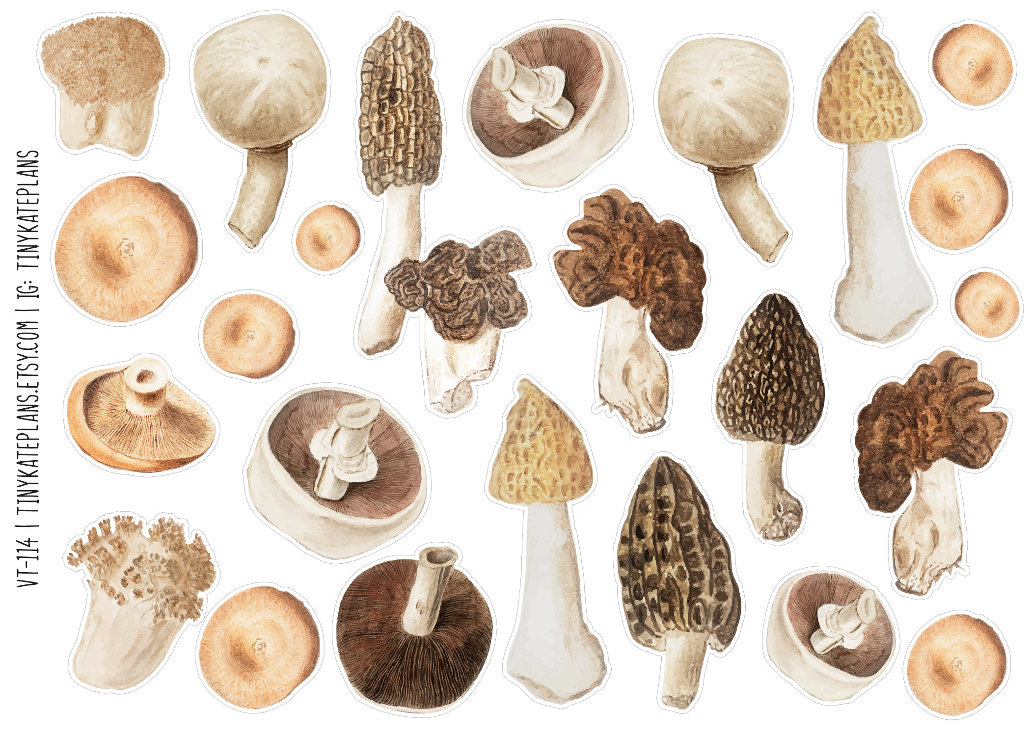 Vintage Inspired Mushroom Stickers for Junk Journals, Vintage Mushroom ...