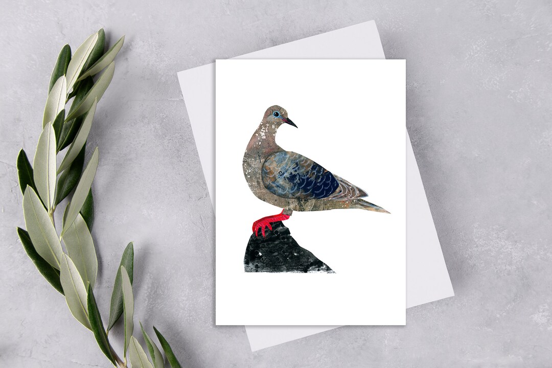 Mourning Dove Postcard, Dove Bird Paper Collage Postcard, Colorful ...