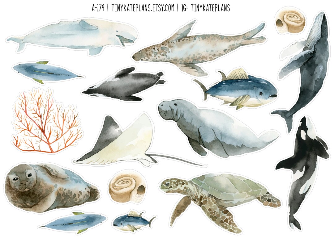 Sea Creatures Planner Stickers, Cute Fish Stickers, Sea Animal ...
