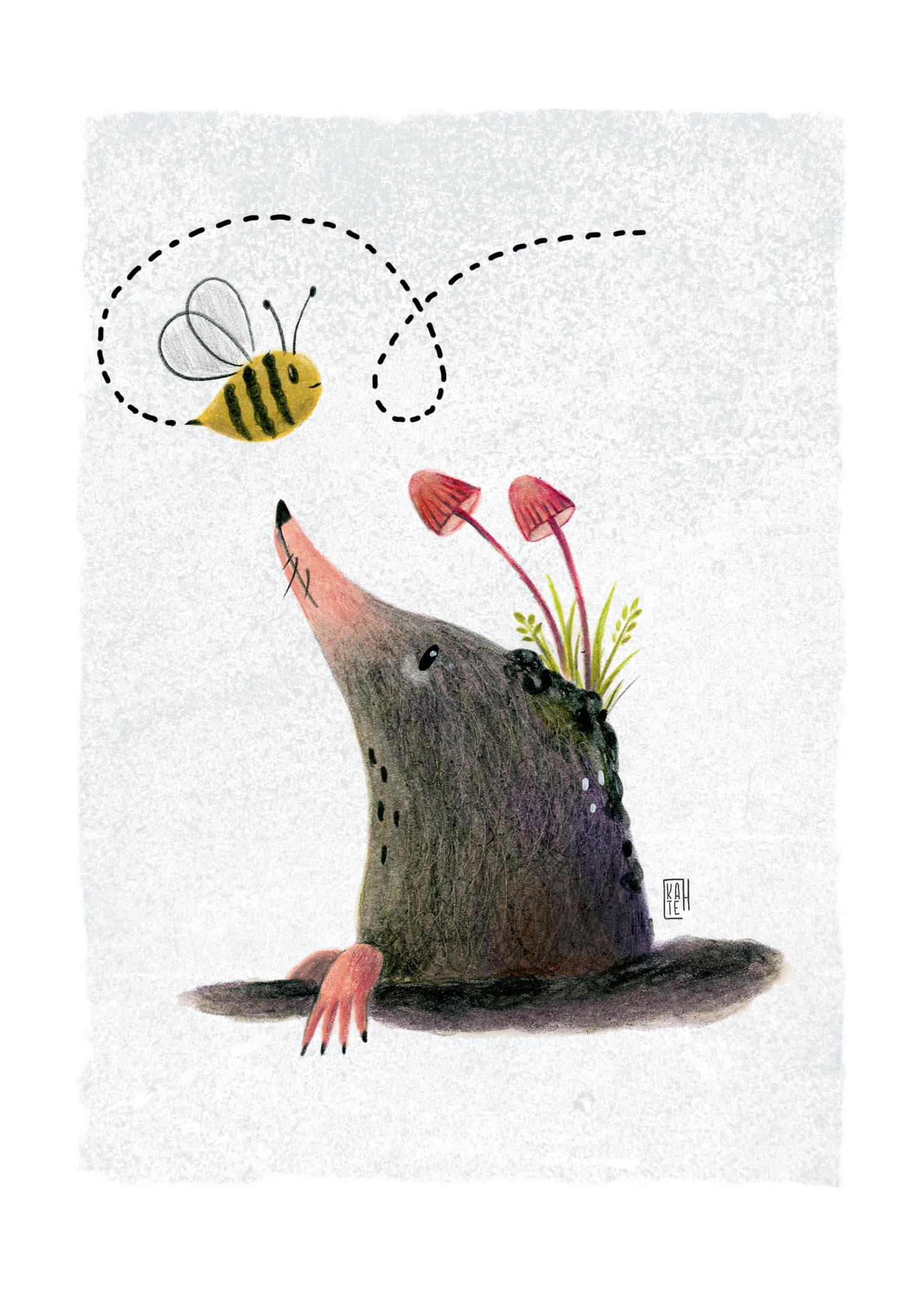 Moles & Bees Postcard Set, Mole Animal Postcard, Cute Forest Animal ...