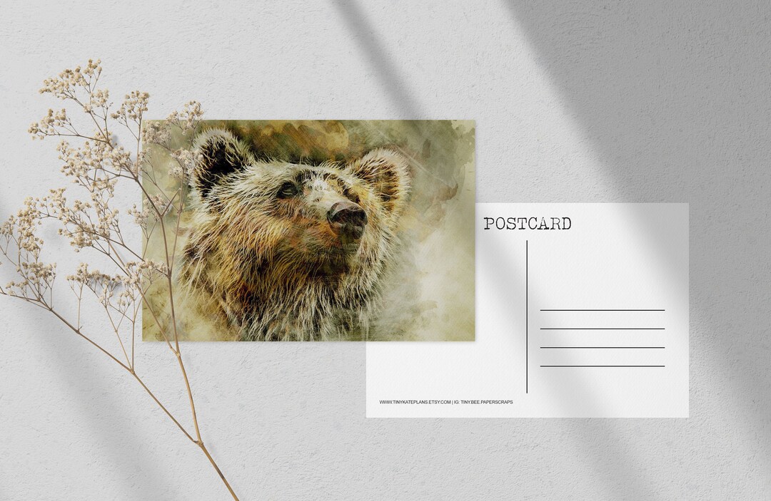 Grudge Bear Portrait Postcard, Bear Postcard Print for Postcrossing ...