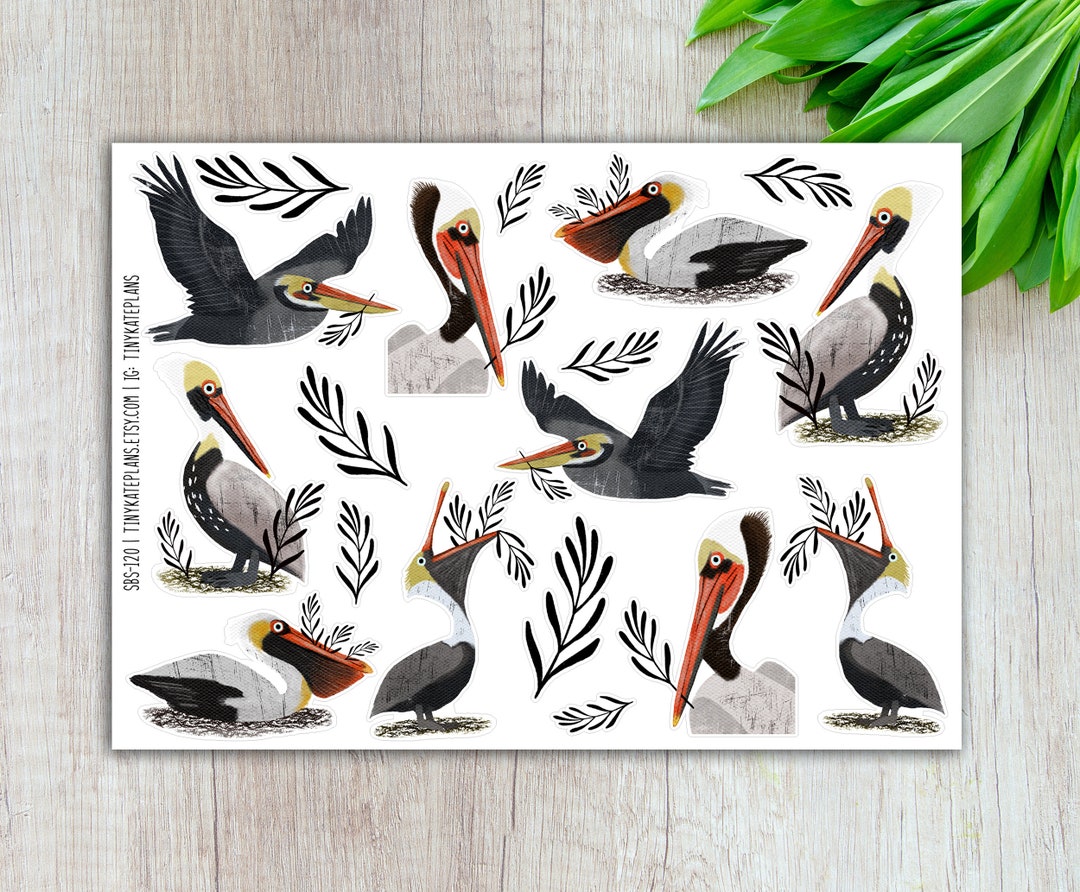 Brown Pelican Planner Stickers, Silly Bird Planner Stickers, Cute Bird ...