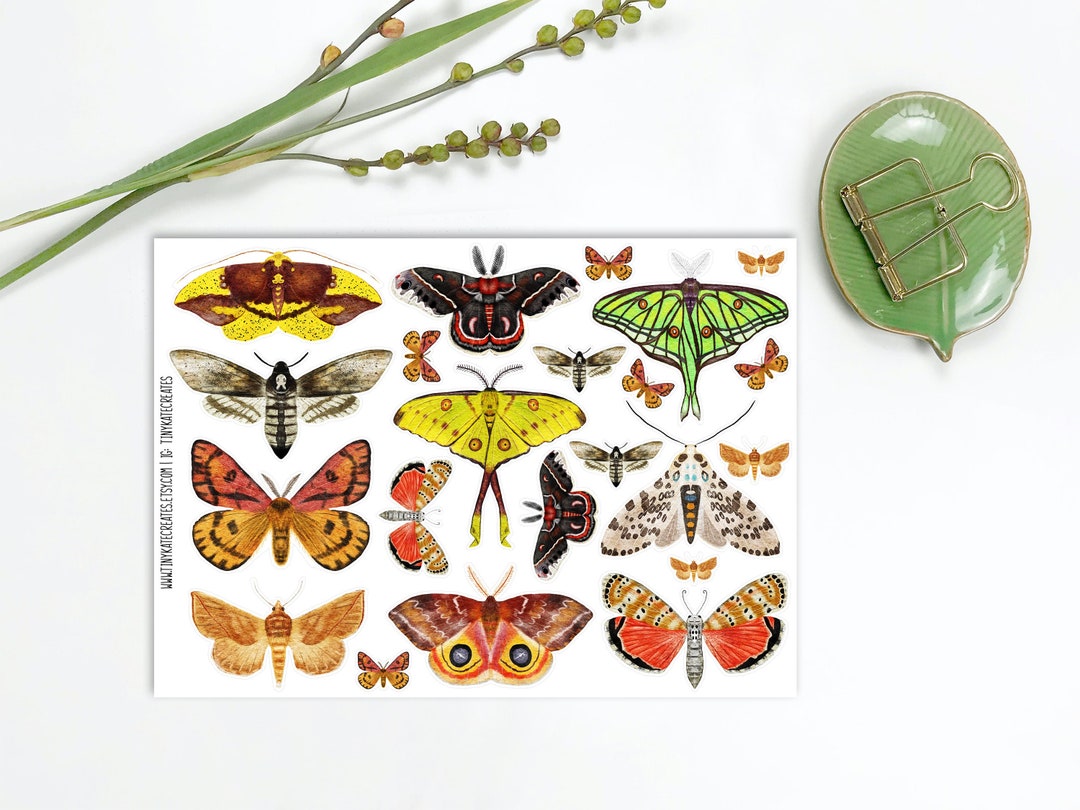Moth Sticker Set 2, Entomology Butterfly Insects Junk Journal Stickers ...