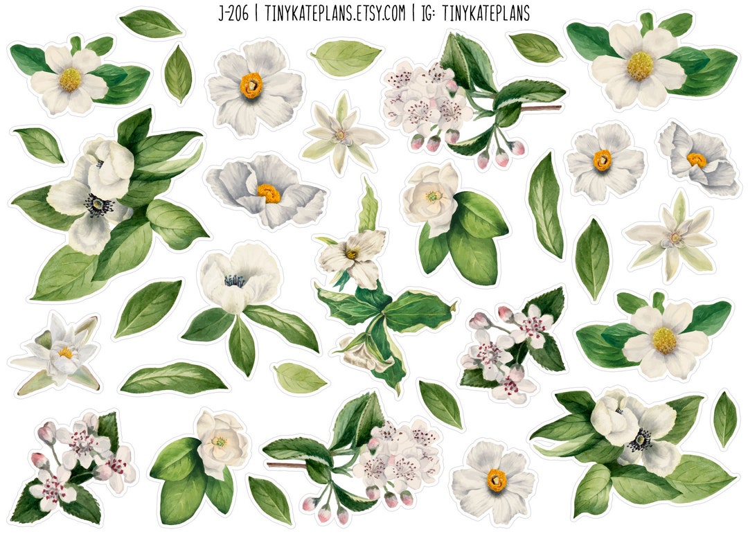 Watercolor White Floral Planner Stickers, Flower Planner Stickers ...