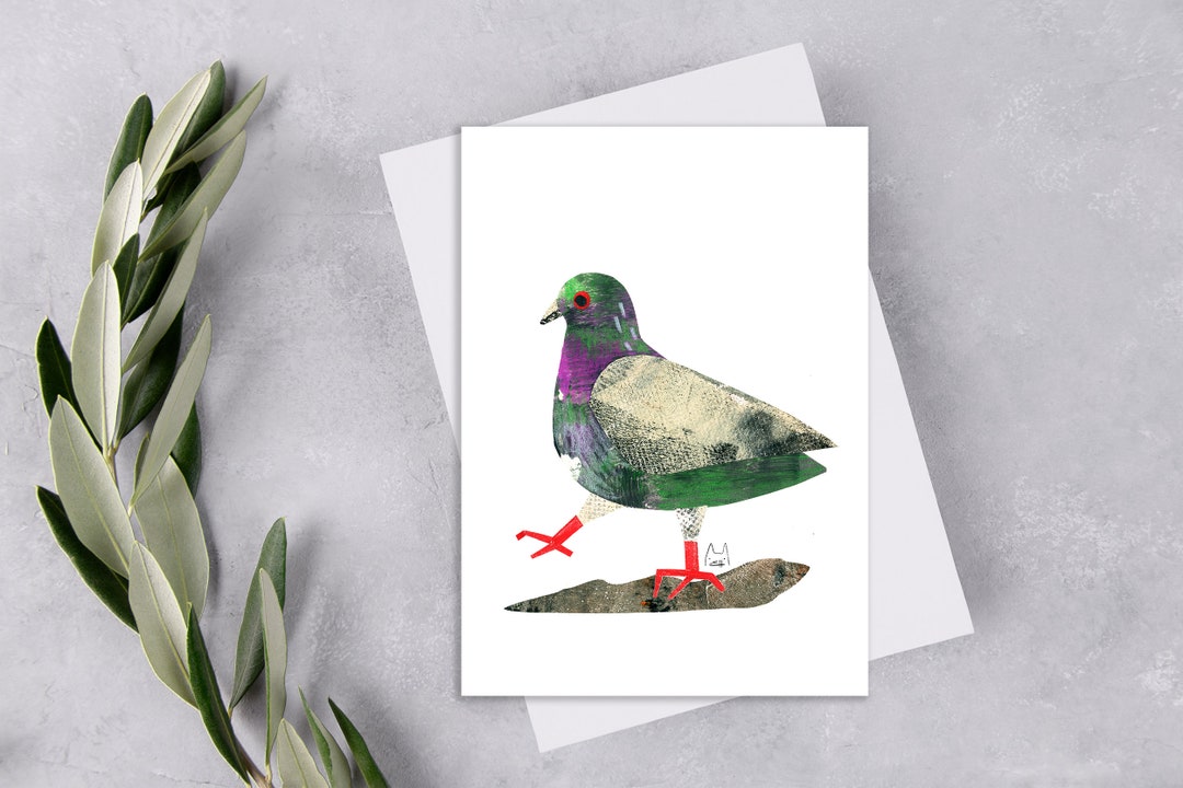 Rock Pigeons Paper Collage Postcard Prints, Rock Pigeon Penpal Postcard ...