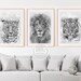 Safari Animals Watercolor Print, Black & White Animals Set 3, Safari ...