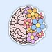 Growth Mindset Brain Sticker, Flower Brain, Growth Mindset, 3 Inches ...