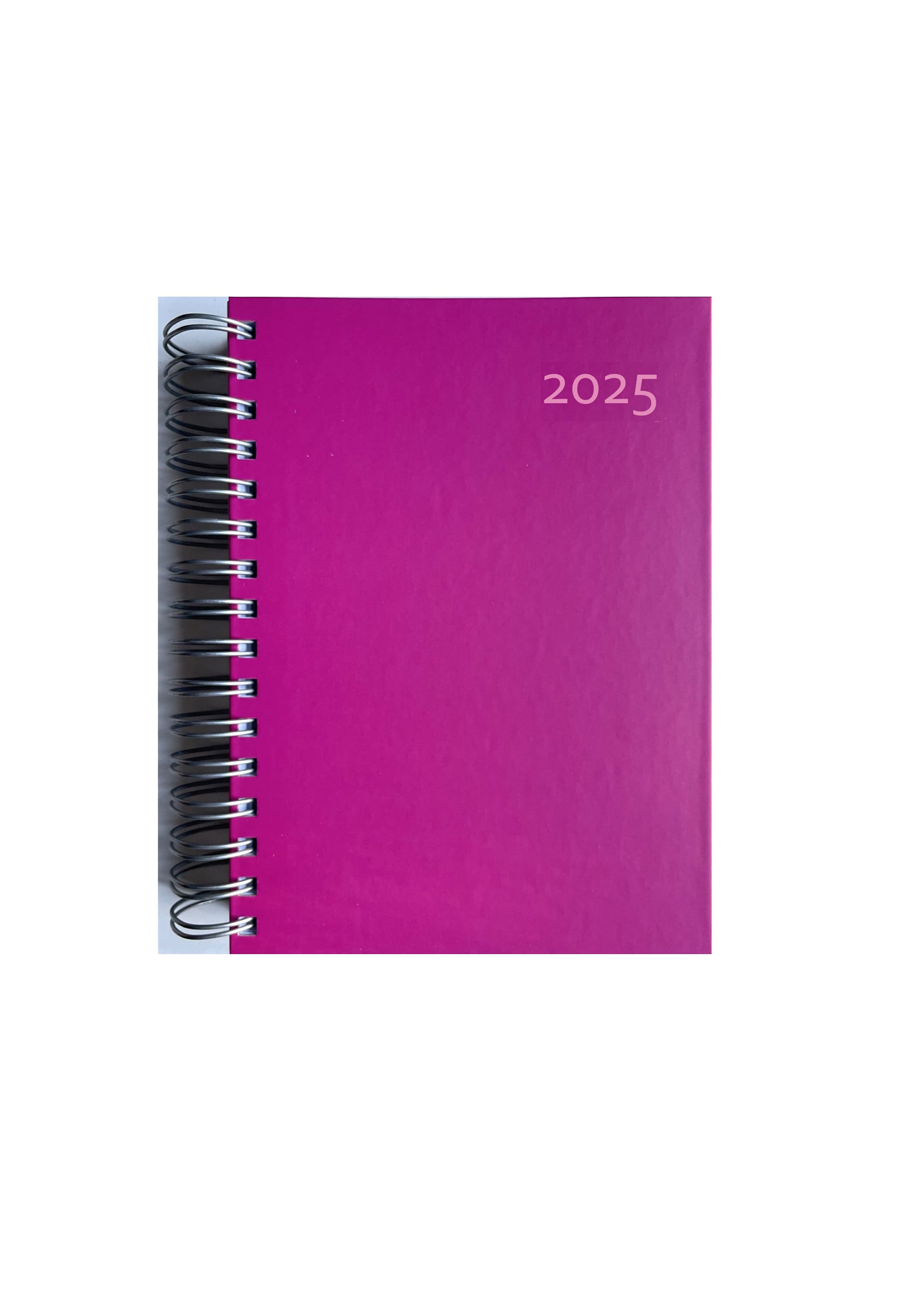 2025 THE SMALL FAT Calendar A5 400 Pages One Page for Each Day - Etsy