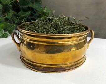 Shallow planter | Etsy