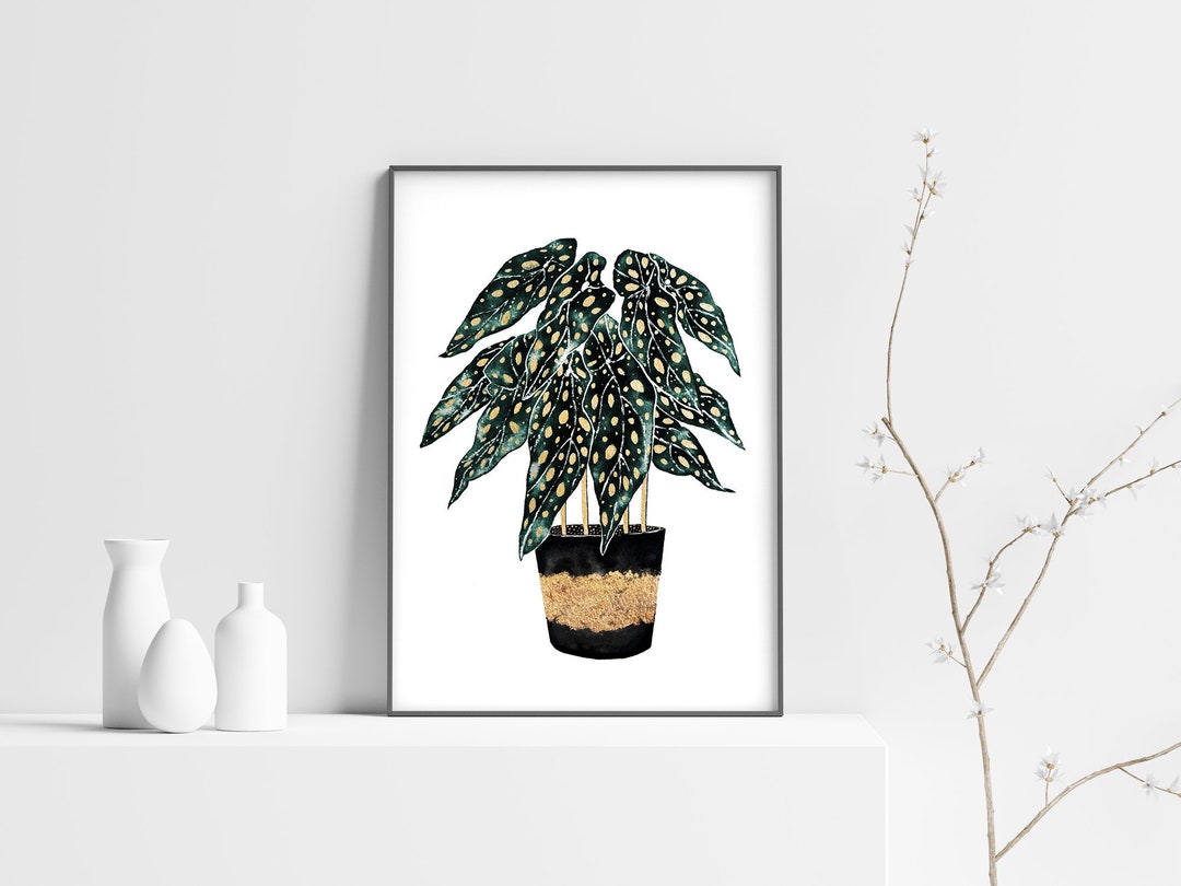 Botanical Print, Printable Begonia Plant Art Print in Green and Gold ...
