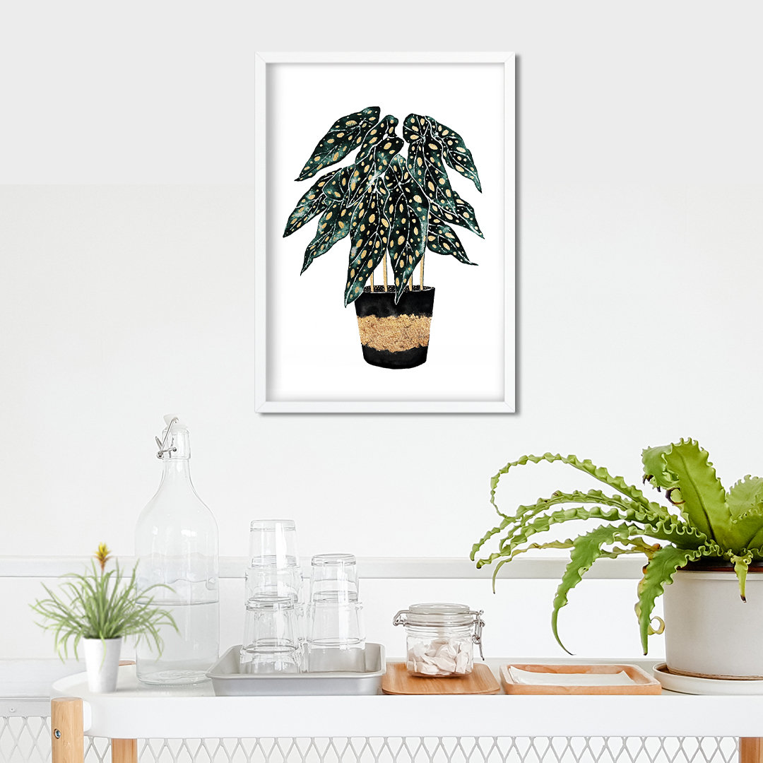 Botanical Print, Printable Begonia Plant Art Print in Green and Gold ...