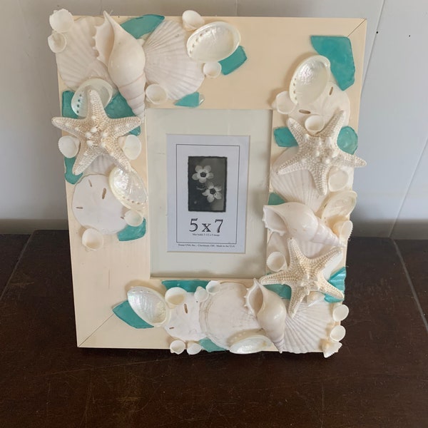 Turquoise Sea Shell - Etsy