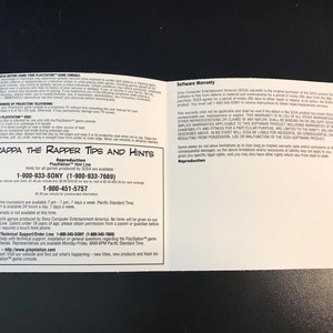 Parappa the Rapper PS1 Reproduction Case - Etsy