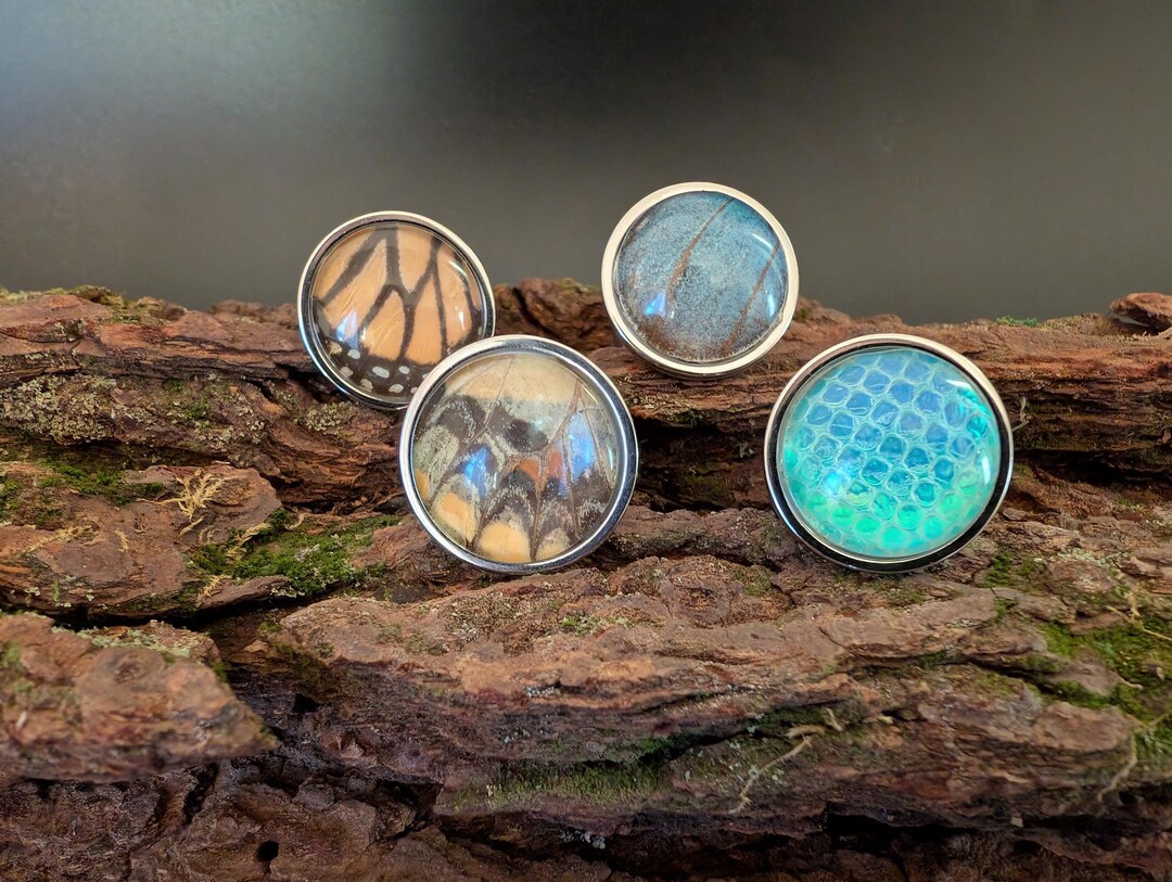 Nature Rings - Real Butterfly Wings, Moth Wings, and Snake Sheds; Made ...