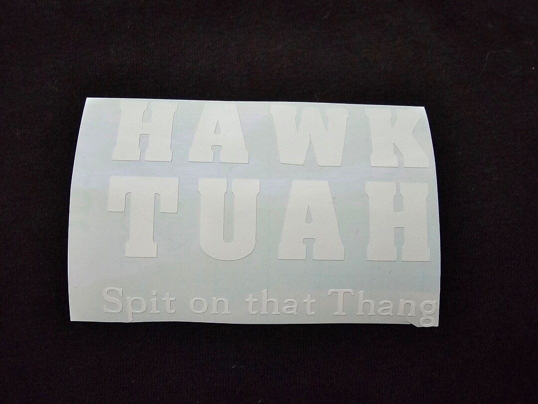 Hawk Tuah Decal - Etsy