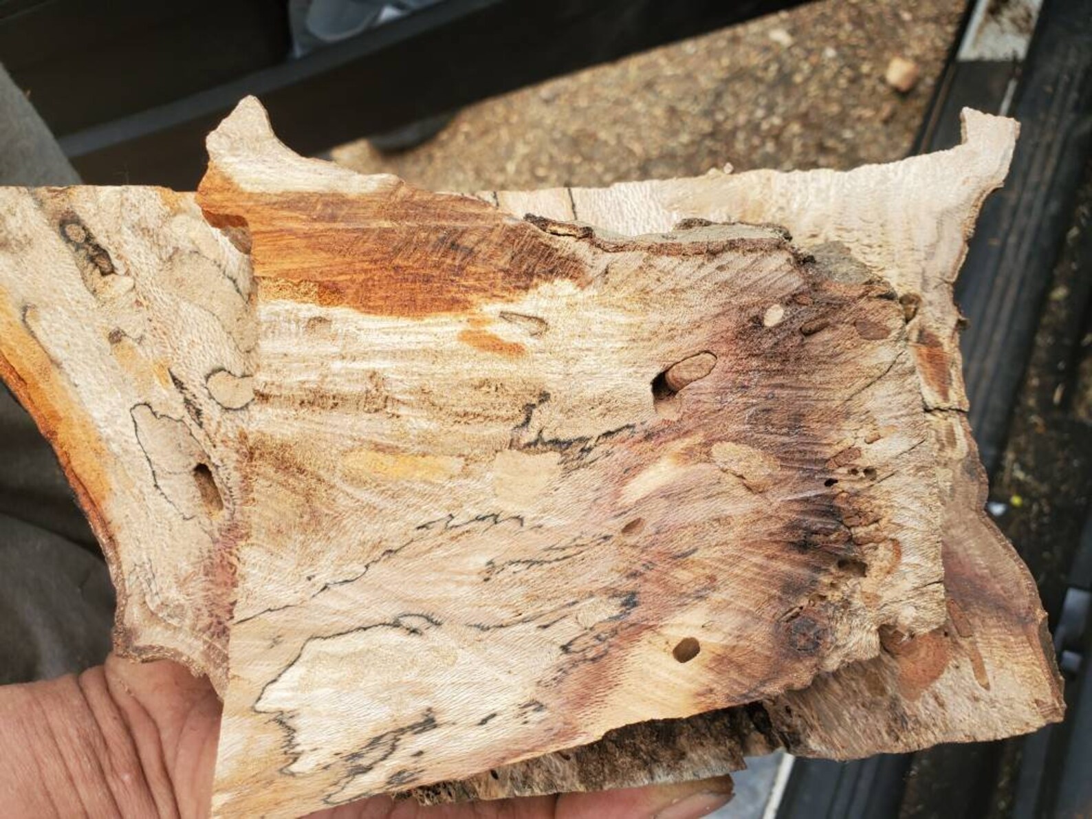 Sycamore Spalted Wood Chunks | Etsy