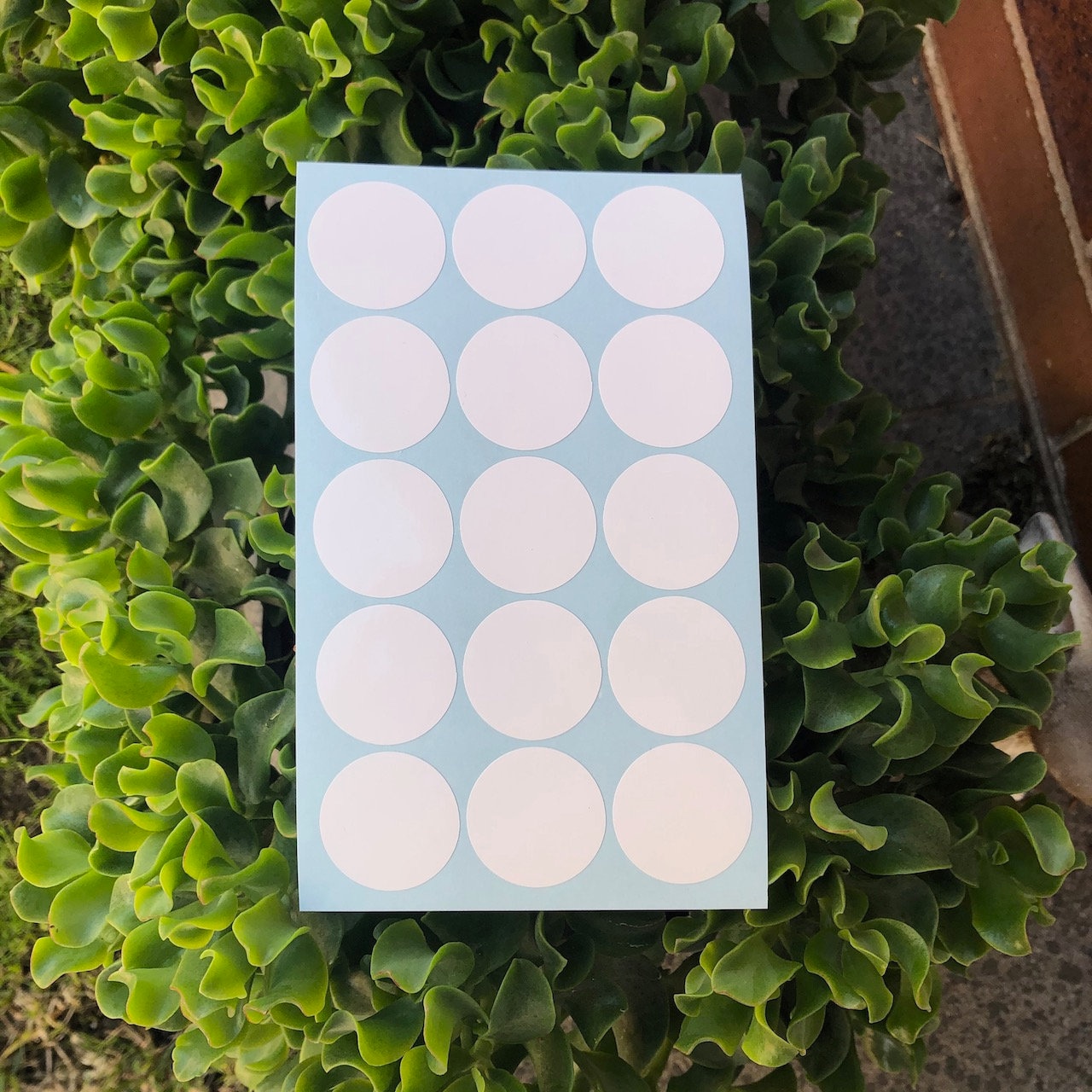 White Vinyl Circle Stickers - Etsy Australia