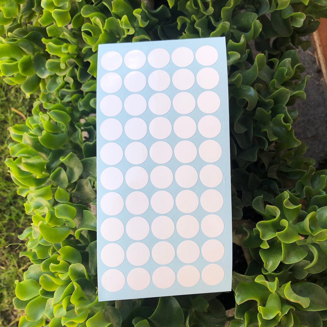 White Vinyl Circle Stickers - Etsy Australia