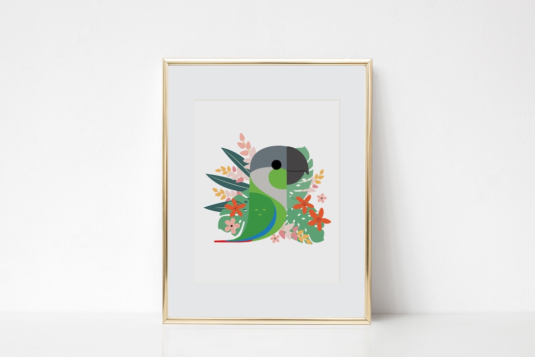 Green-cheeked Conure Parrot - Art Print - Etsy