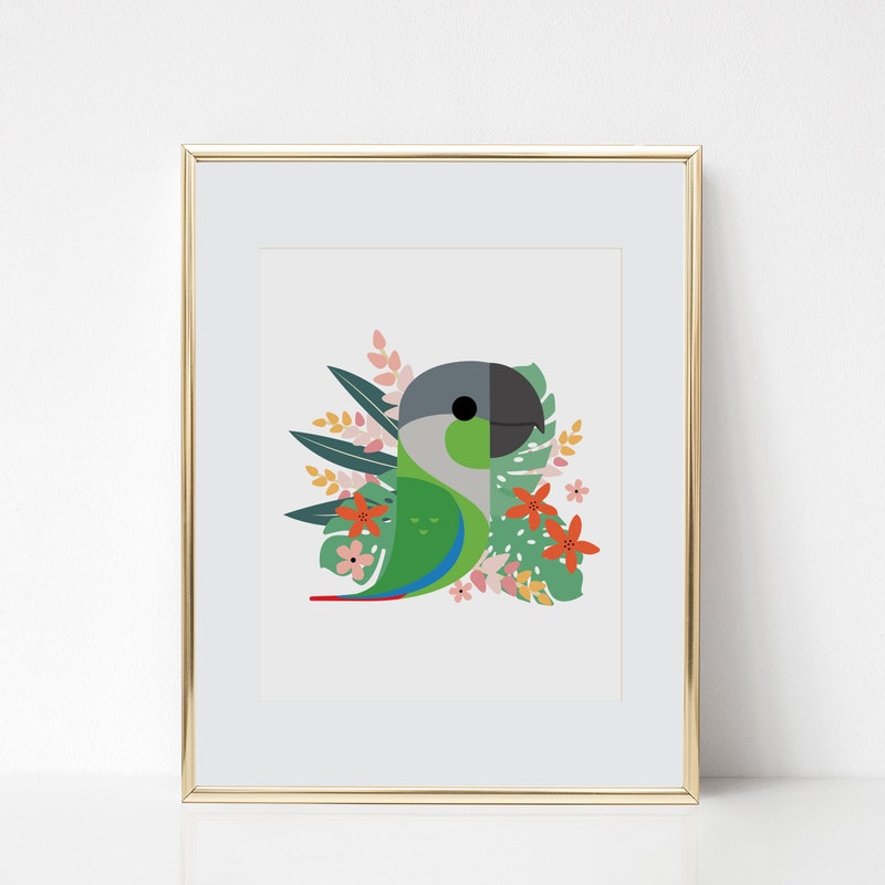 Conure Art - Etsy