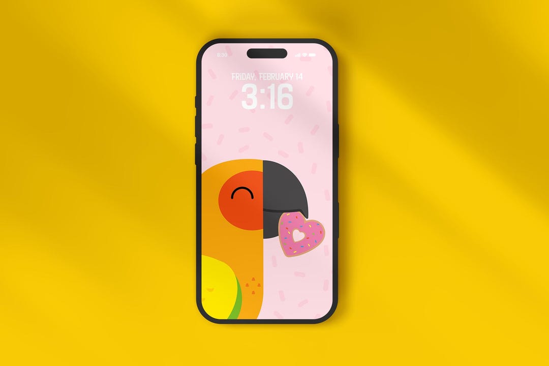 Sun Conure Donut Valentine Parrot Phone Wallpaper iPhone Screensaver ...