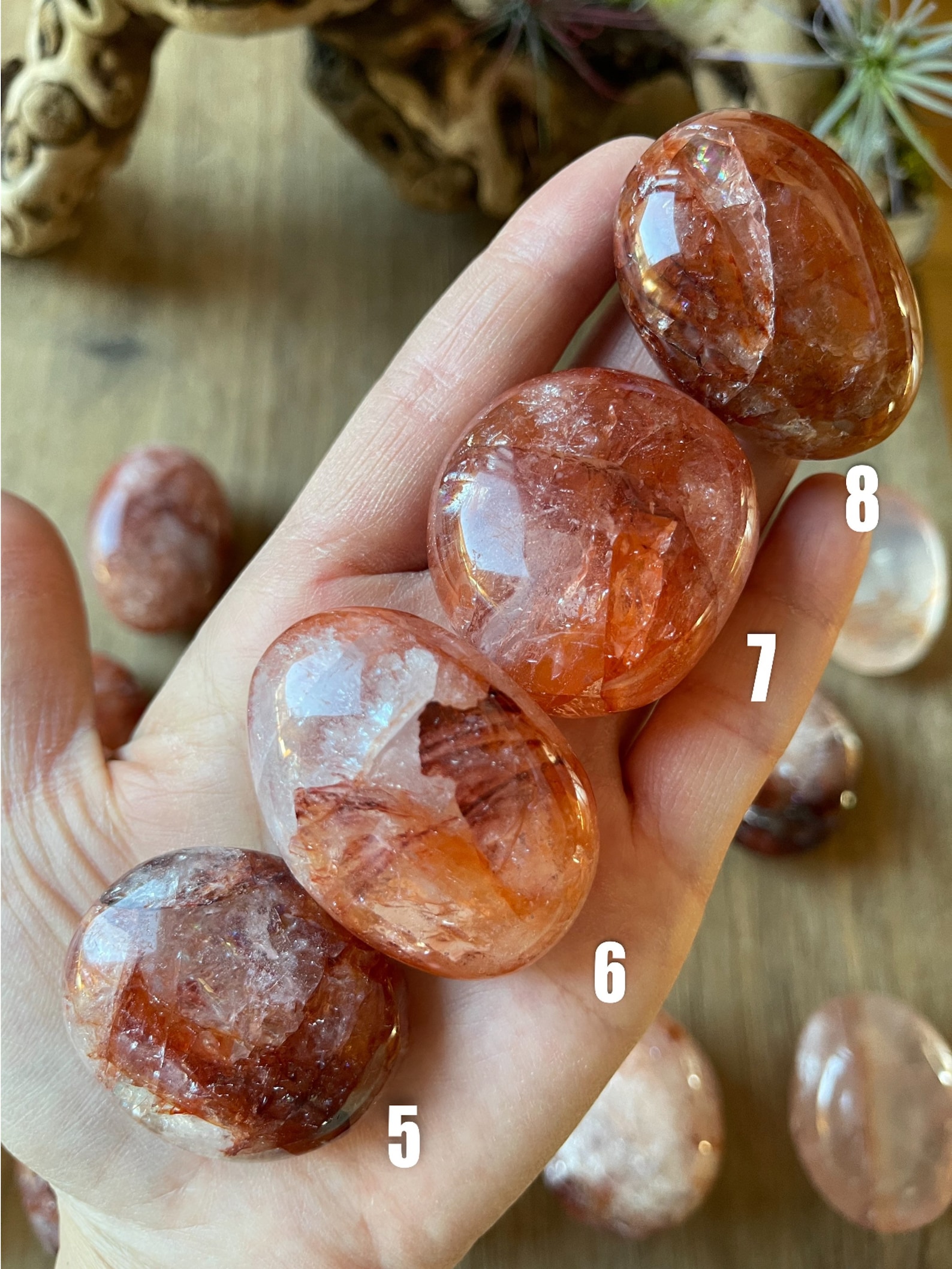 Fire Quartz Palm Stones Red Hematoid Quartz Red Healer - Etsy