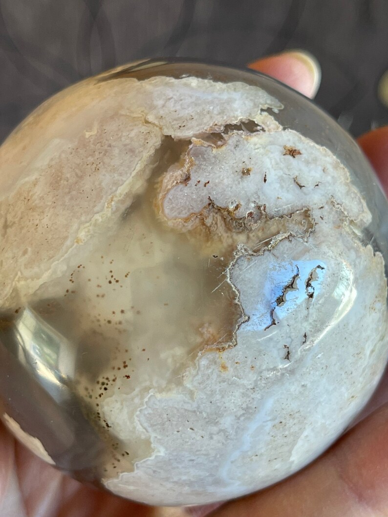 Natural Black Flower Agate Geode Egg Geode. - Etsy