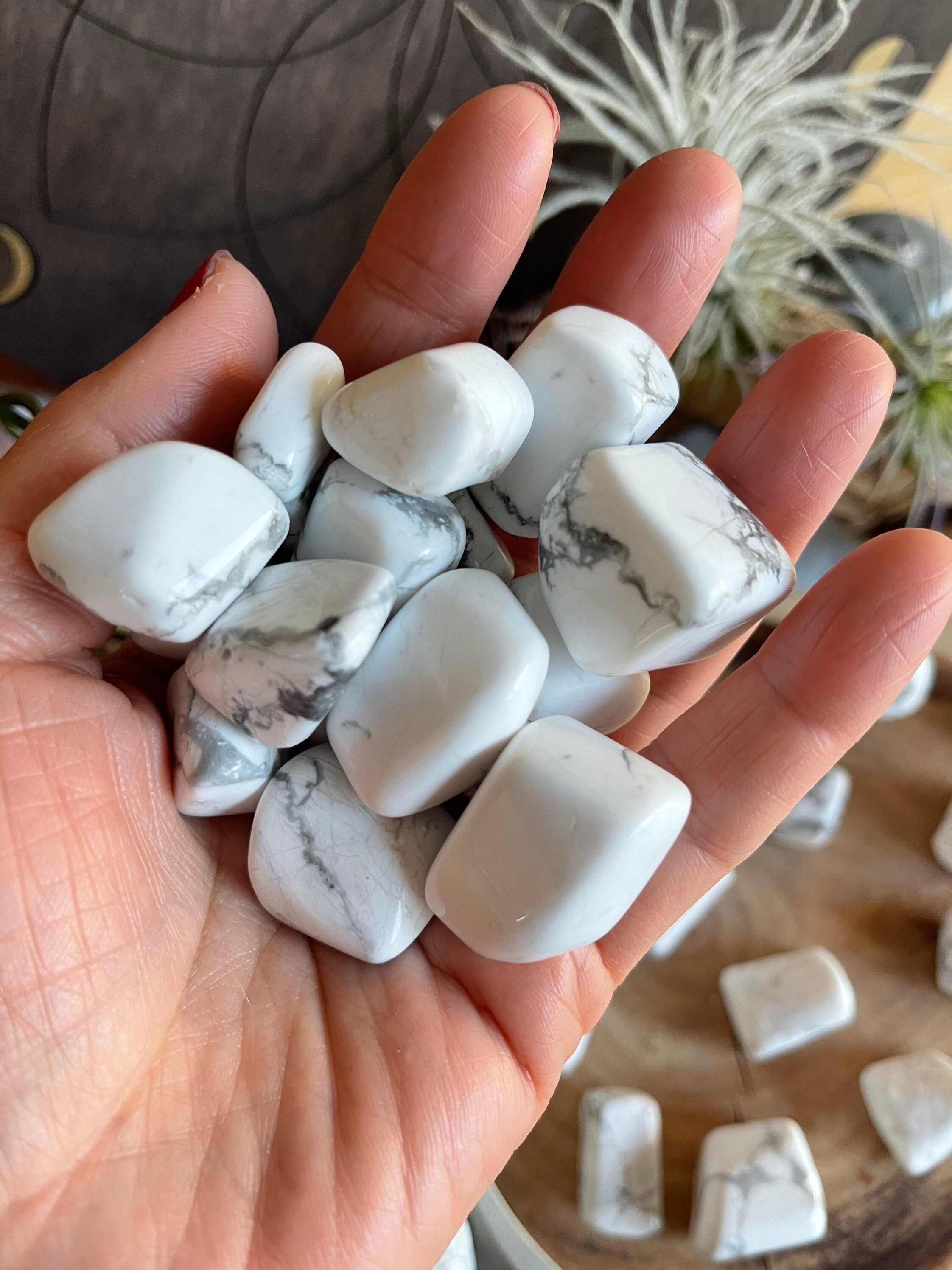 Natural Howlite Tumbled Stones Chakras Reiki Pocket Stones | Etsy