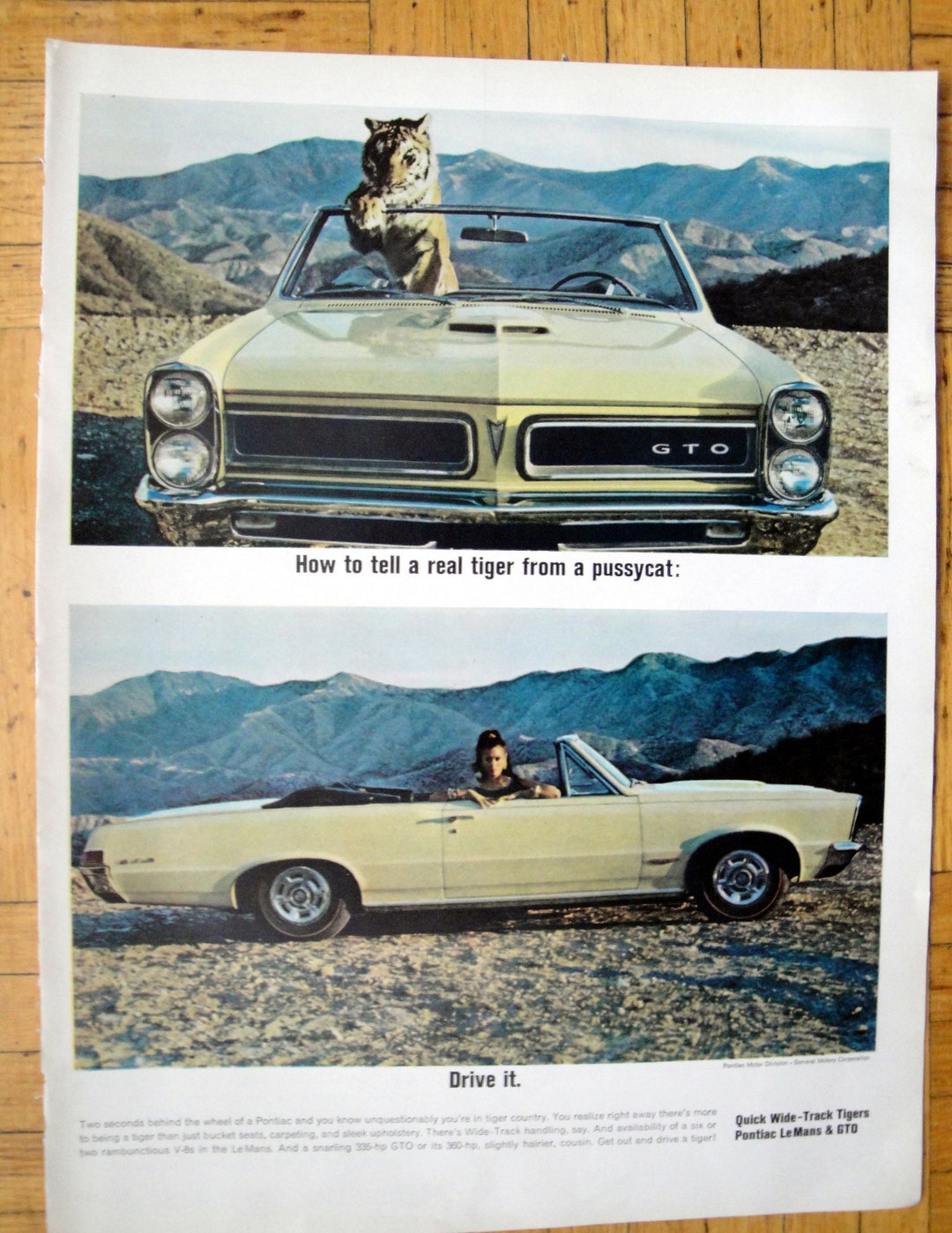 1965 Pontiac GTO + Le Mans-tiger or Pussycat - Original 13.5 * 10.5 ...