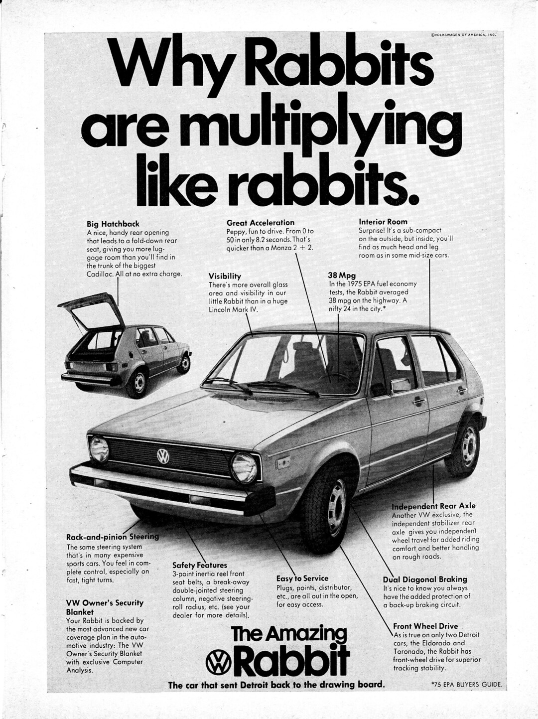 1975 VW Rabbit-they Are Multiplying Like Rabbits Original - Etsy