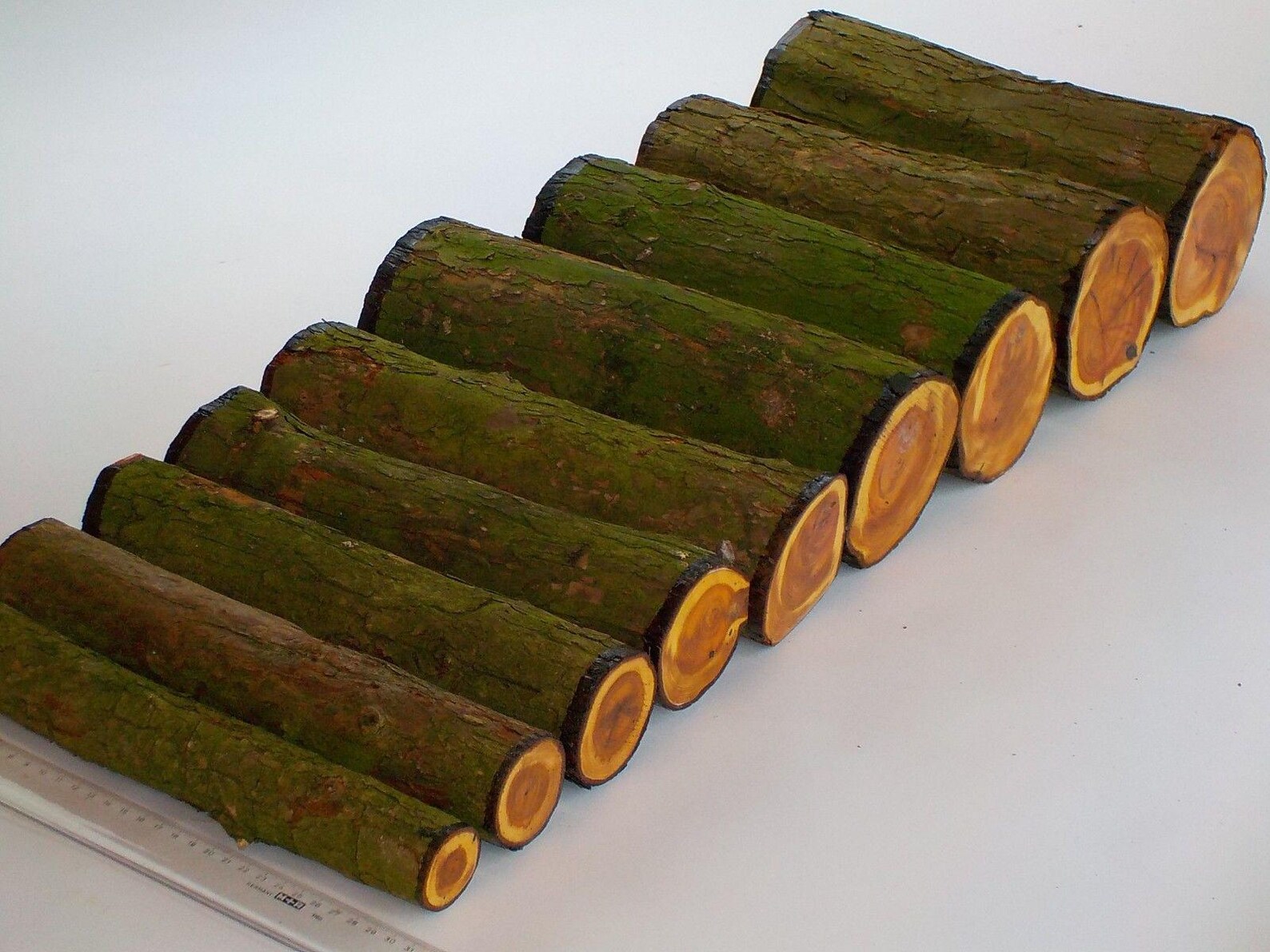 English Yew Log Blanks for Wood Turning or Carving - Etsy UK