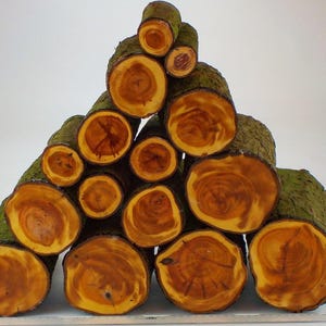 English Yew Log Blanks for Wood Turning or Carving - Etsy UK