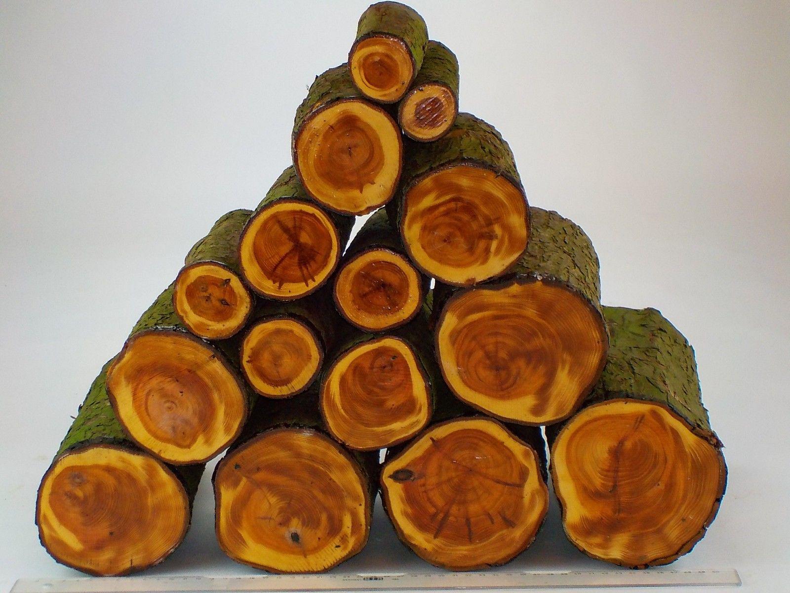 English Yew Log Blanks for Wood Turning or Carving - Etsy UK