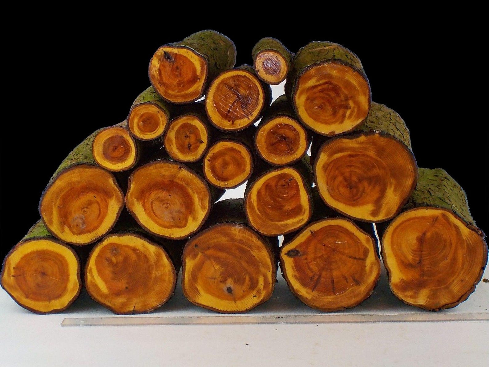 English Yew Log Blanks for Wood Turning or Carving - Etsy UK