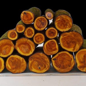English Yew Log Blanks for Wood Turning or Carving - Etsy UK
