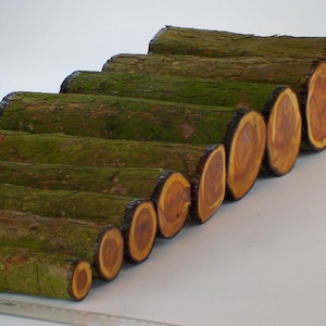 English Yew Log Blanks for Wood Turning or Carving - Etsy UK