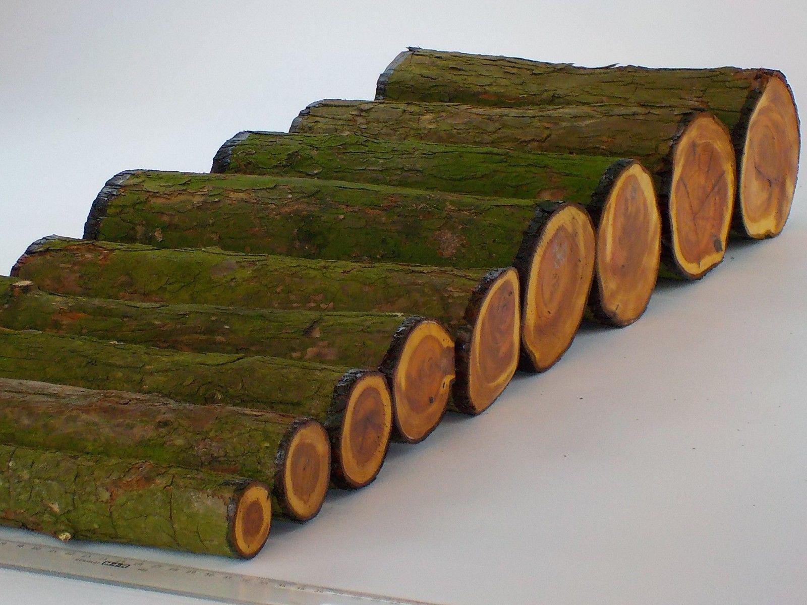 English Yew Log Blanks for Wood Turning or Carving - Etsy UK