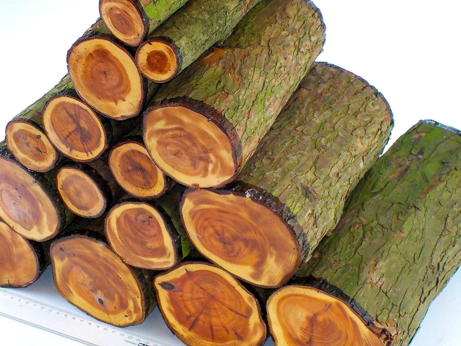 English Yew Log Blanks for Wood Turning or Carving - Etsy UK