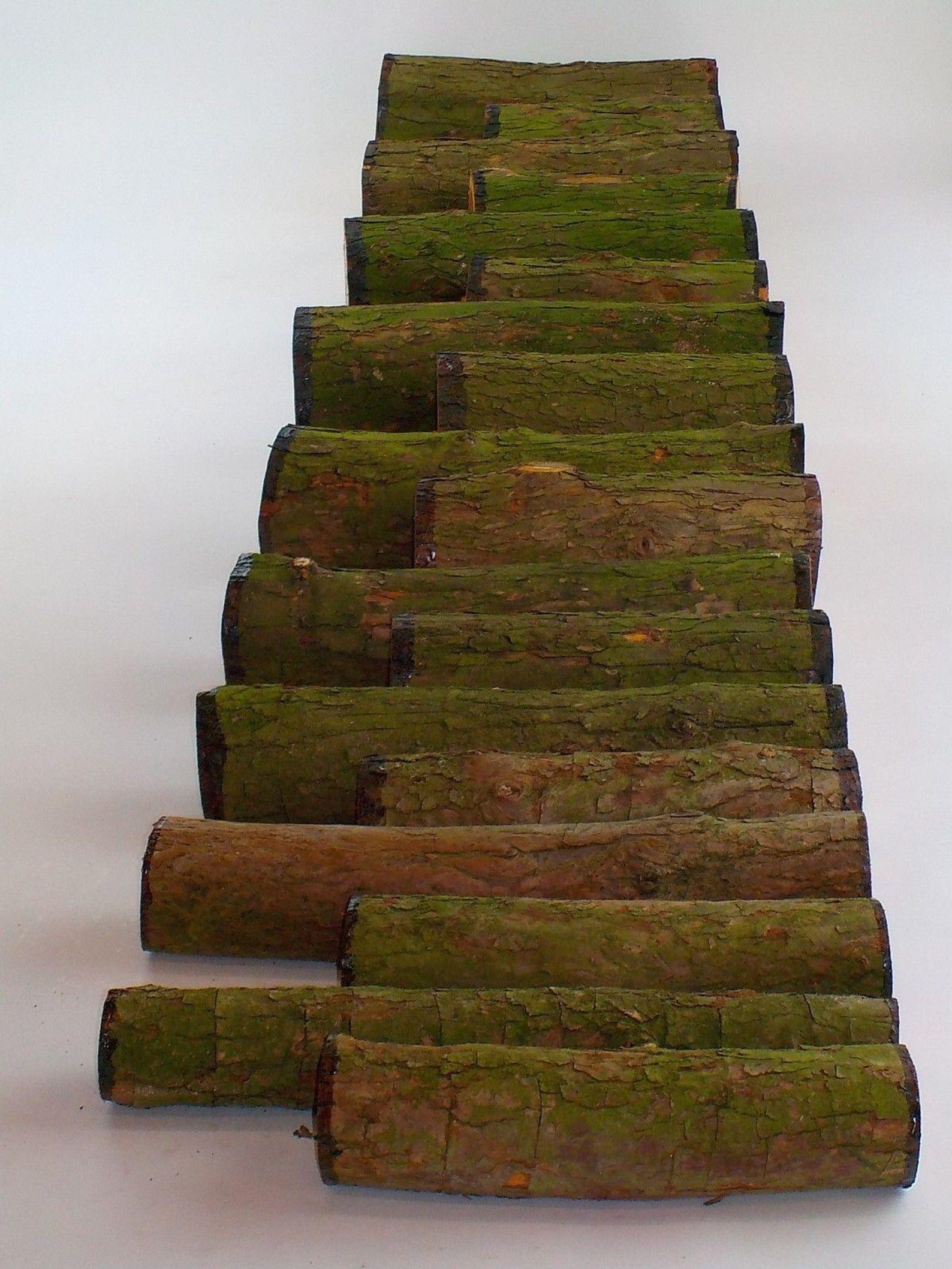 English Yew Log Blanks for Wood Turning or Carving - Etsy UK