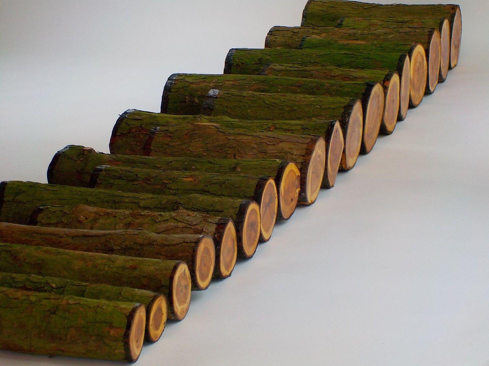 English Yew Log Blanks for Wood Turning or Carving - Etsy UK