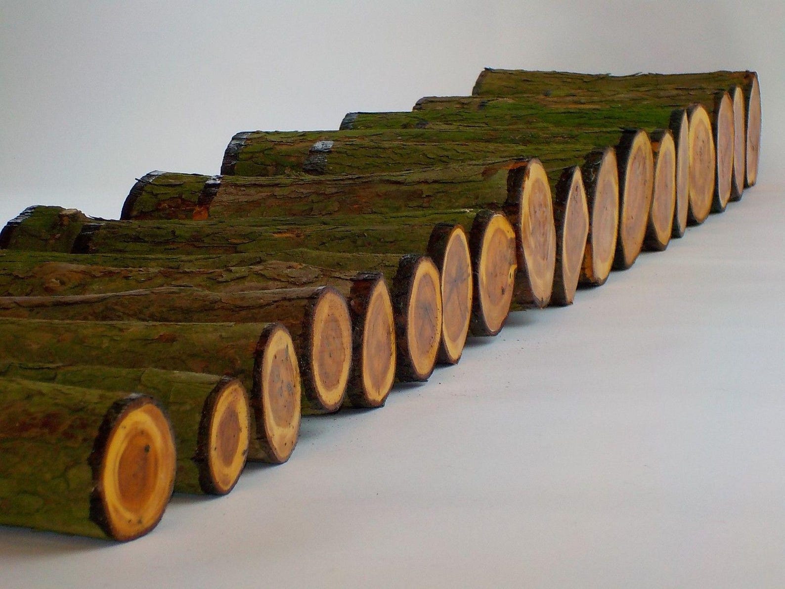 English Yew Log Blanks for Wood Turning or Carving - Etsy UK