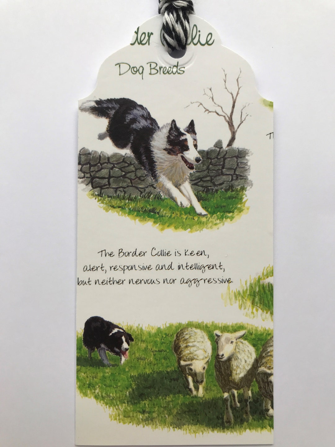 HANDMADE DOG BOOKMARK Collie Dog Sheepdog Border Collie Sturdy Shiny ...