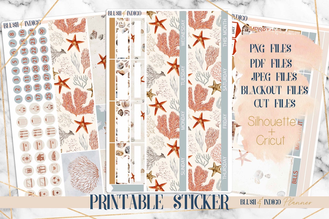 Seashell Beach Summer Printable Planner Stickers, Printable Monthly ...