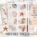 Seashell Summer Printable Planner Stickers, Printable Weekly Stickers ...