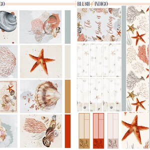 Seashell Summer Printable Planner Stickers, Printable Weekly Stickers ...