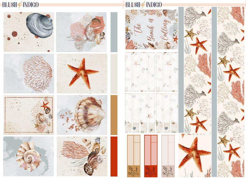 Seashell Summer Printable Planner Stickers Printable Weekly - Etsy